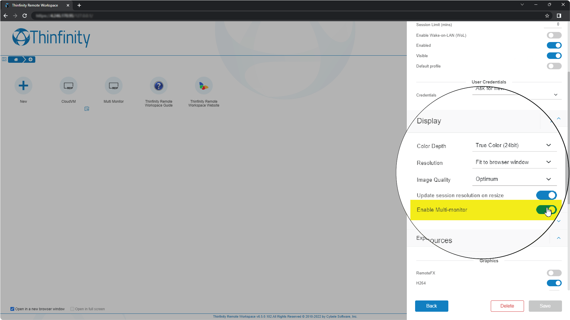 How to enable Multi-Monitor using Thinfinity Remote Workspace